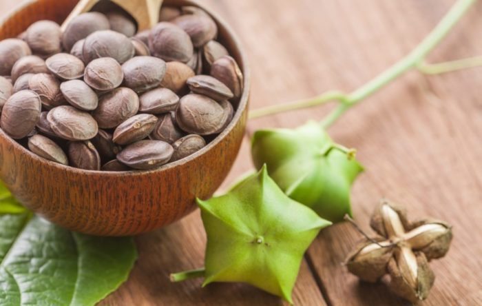 fruit-et-graines-inca-inchi | La beauté au naturel