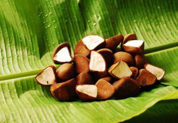 fruit-andiroba | La beauté au naturel