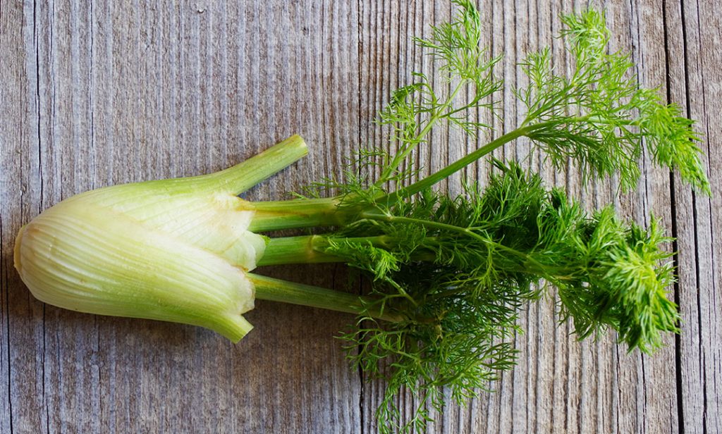 Les graines de fenouil : la star de la beauté naturel