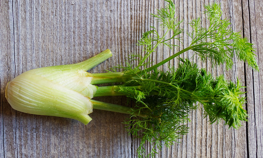Les graines de fenouil : la star de la beauté naturel